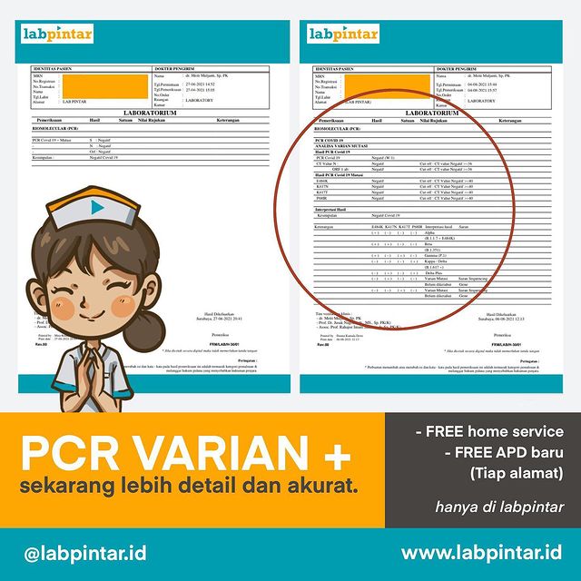 Home Labpintar Id